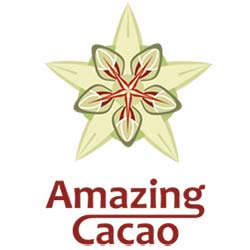 AMAZING CACAO • Beste Schokolade online kaufen 🇷🇺 | Chocolats-de-luxe.de